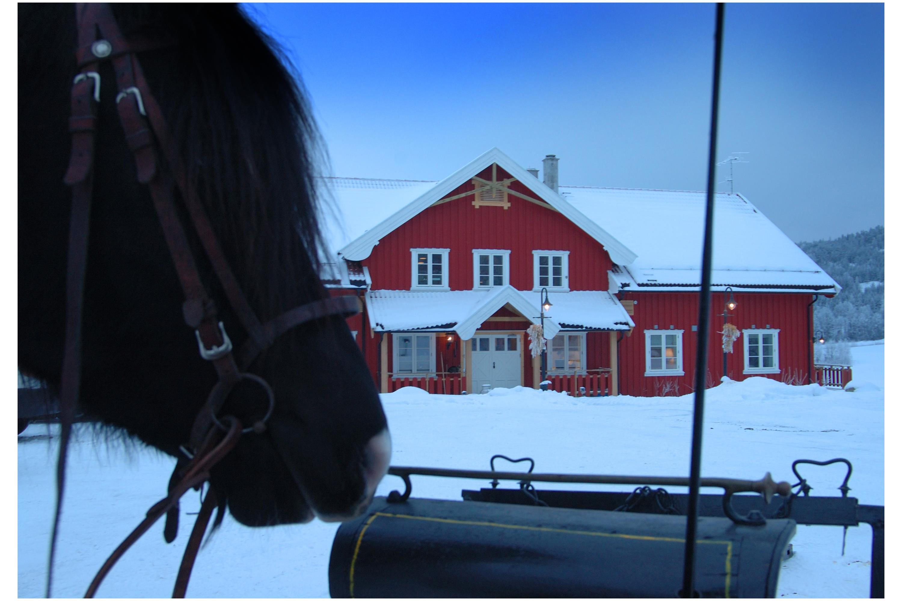Opaker Gård - Visit Øst-Norge